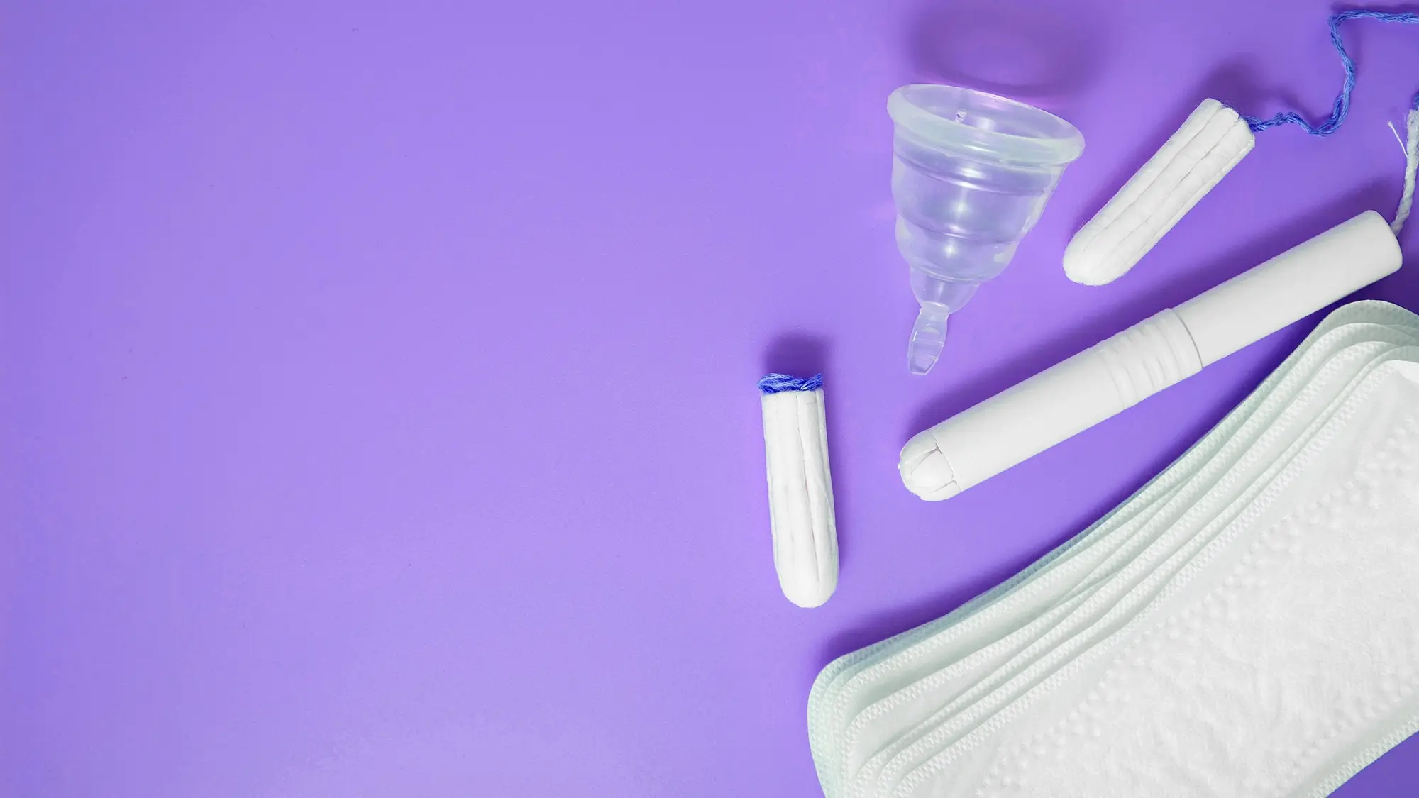 Menstrual Equity Fund - Food Banks Canada